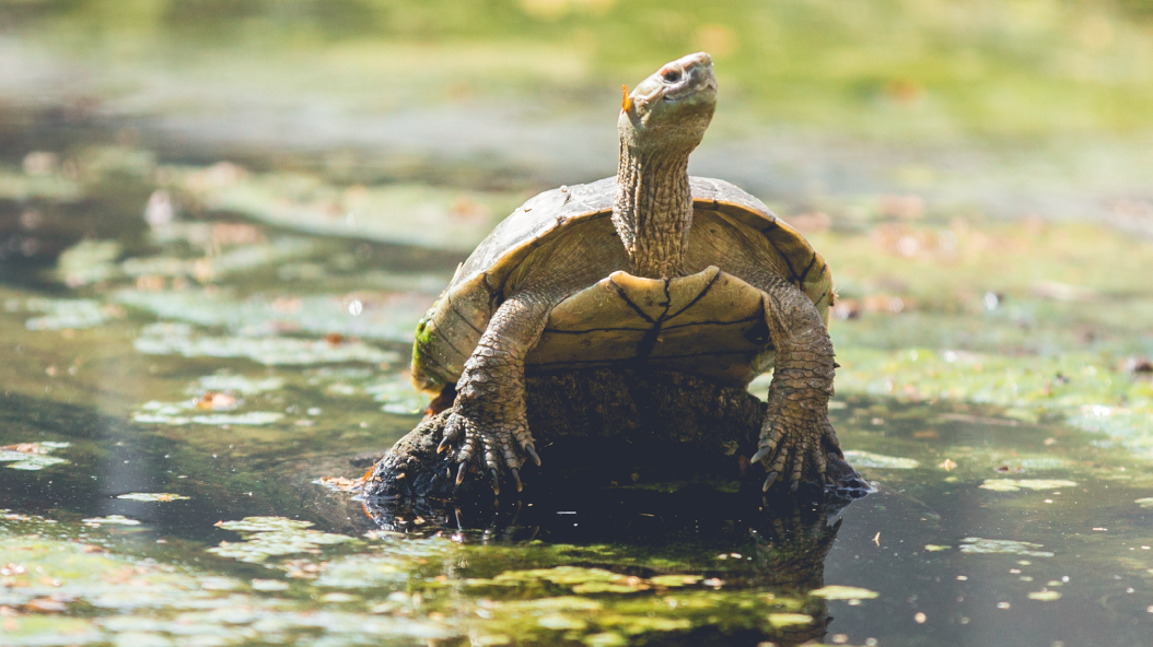 Activities | Zoo Barcelona